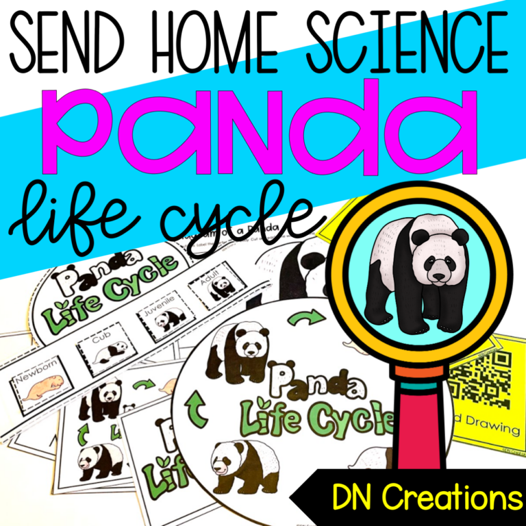 Send HOME Science Panda Life Cycle l All about Pandas l Panda Study ...