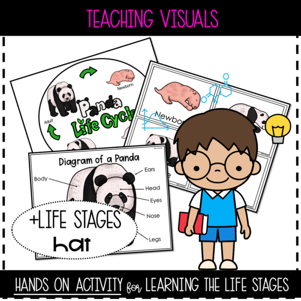 Send HOME Science Panda Life Cycle l All about Pandas l Panda Study ...