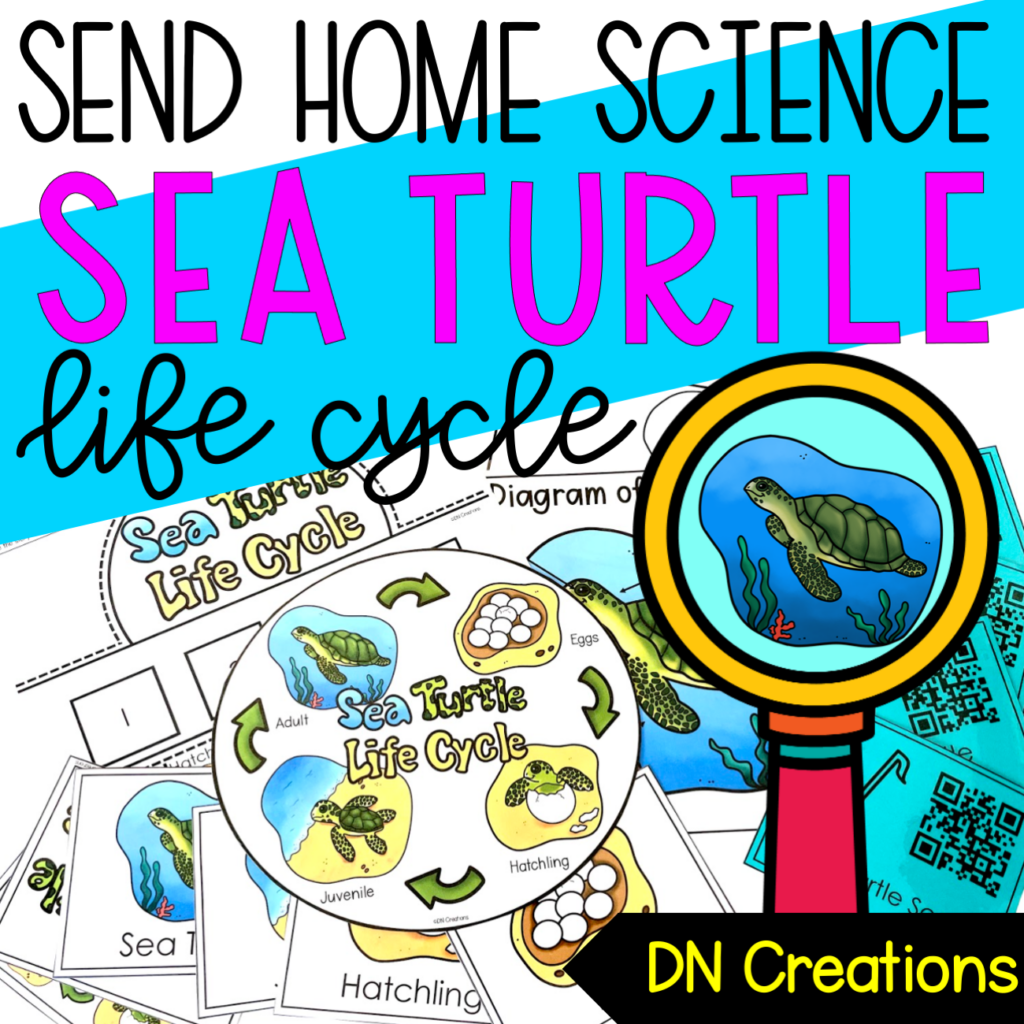 Send HOME Science Sea Turtle Life Cycle l All about Turtles l Seaturtle ...