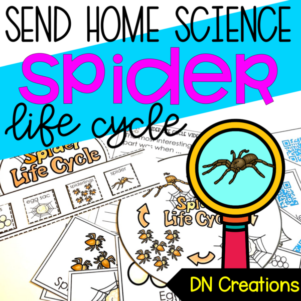 Send HOME Science Spider Life Cycle l Spider Worksheets l Halloween ...