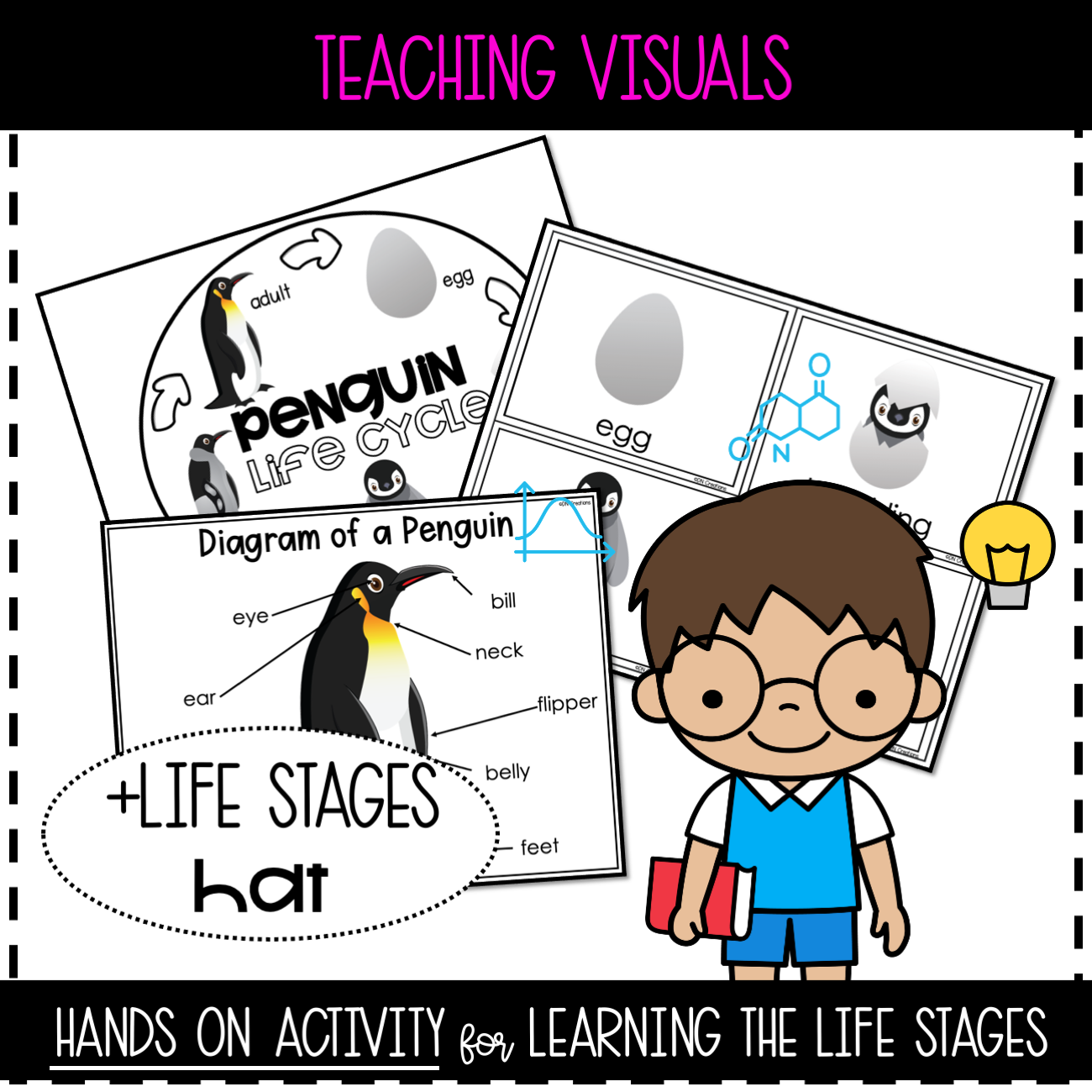 Send HOME Science PENGUIN Life Cycle l All about Penguins l Penguin ...