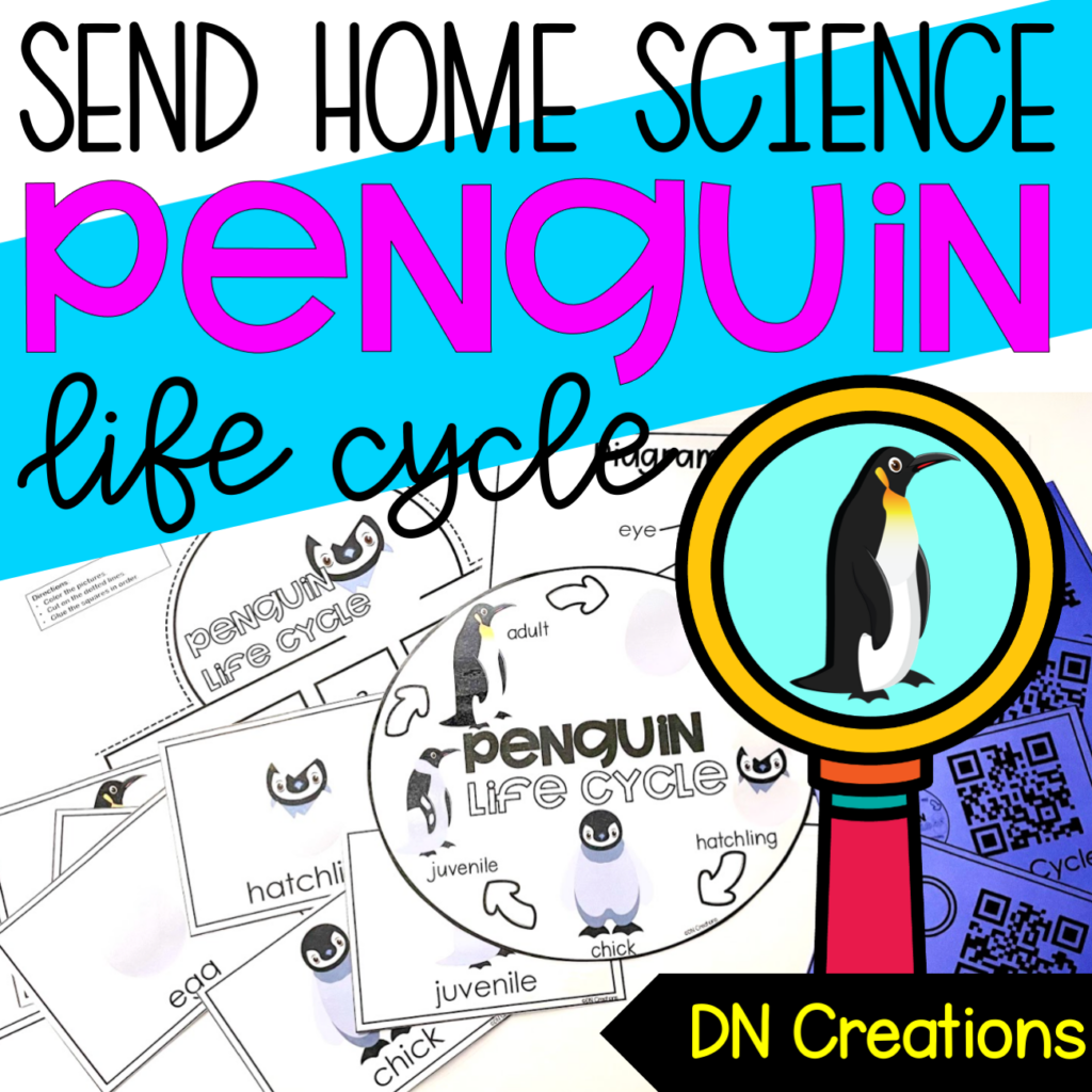 Send HOME Science PENGUIN Life Cycle l All about Penguins l Penguin ...