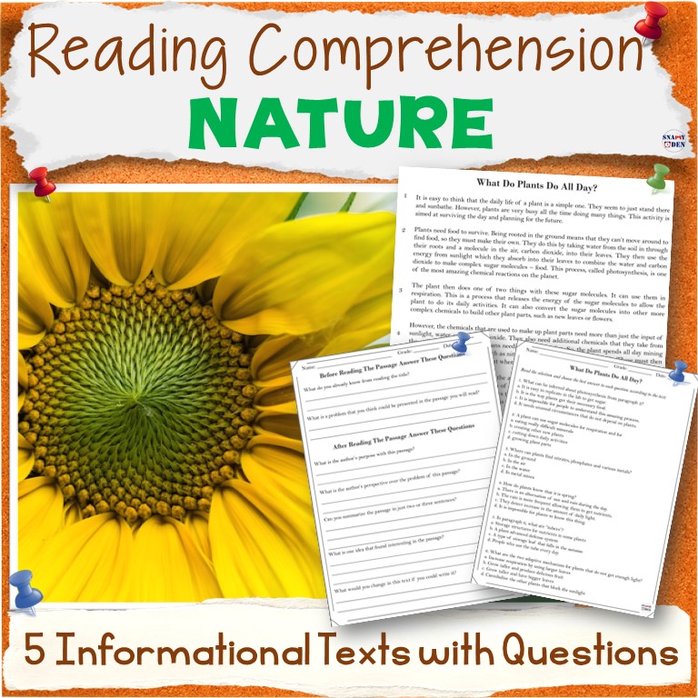 Fun Reading Comprehension Passages and MCQ Middle School Test Prep ...