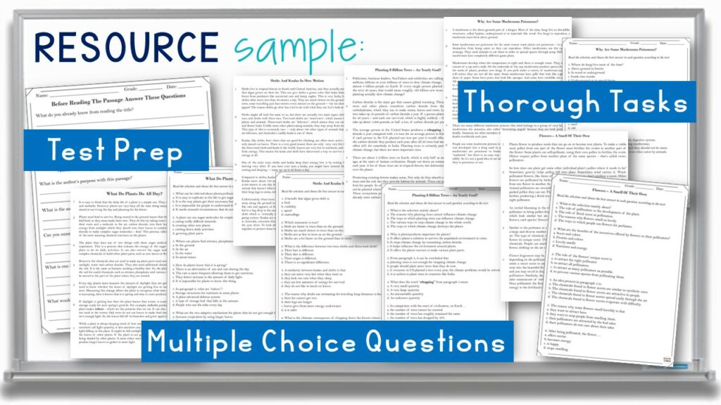 Fun Reading Comprehension Passages and MCQ Middle School Test Prep ...