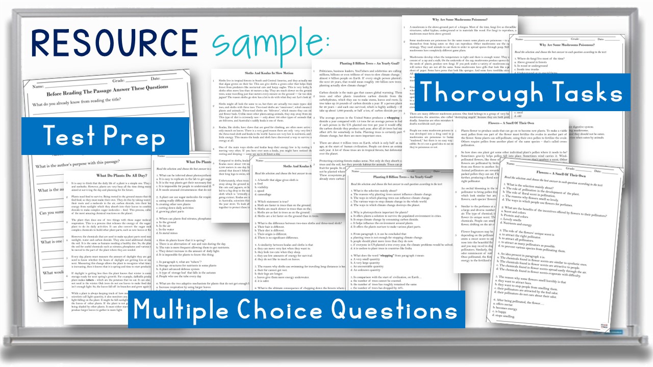 Fun Reading Comprehension Passages and MCQ Middle School Test Prep ...