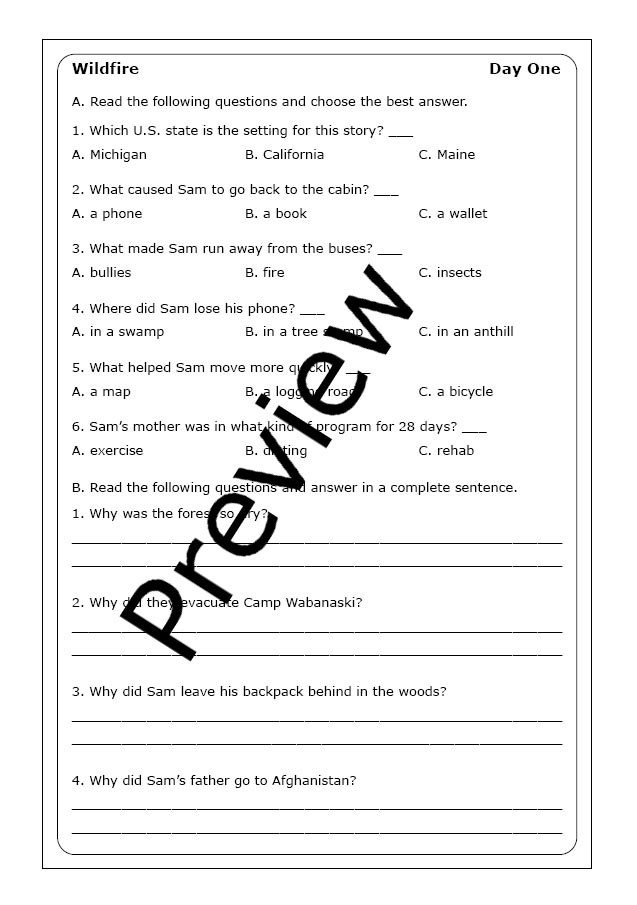 Rodman Philbrick "Wildfire" worksheets | Made By Teachers