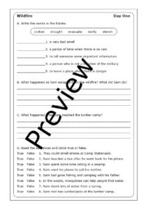 Rodman Philbrick "Wildfire" worksheets | Made By Teachers