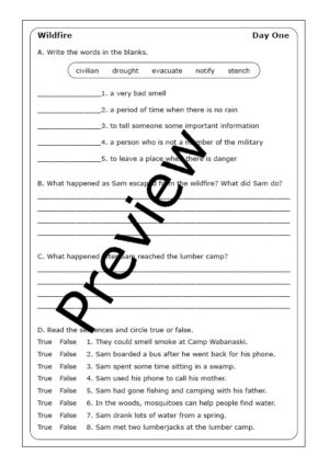 Rodman Philbrick "Wildfire" worksheets | Made By Teachers