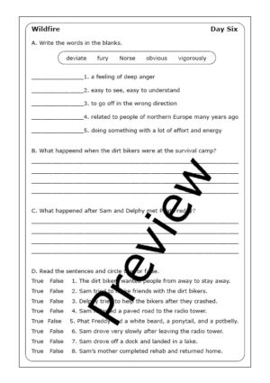 Rodman Philbrick "Wildfire" worksheets | Made By Teachers