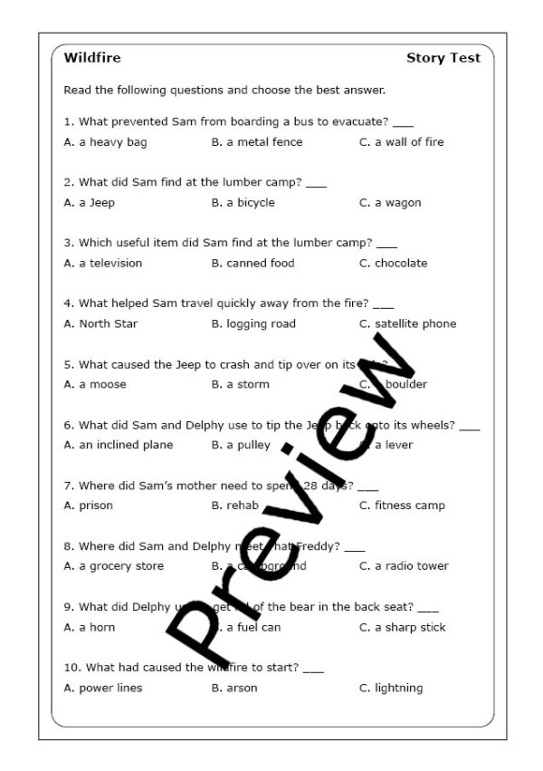 Rodman Philbrick "Wildfire" worksheets | Made By Teachers