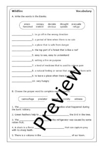 Rodman Philbrick "Wildfire" worksheets | Made By Teachers