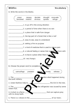 Rodman Philbrick "Wildfire" worksheets | Made By Teachers