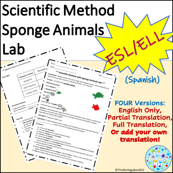 ESL Biology Scientific Method Lab Sponge Animals | Made By Teachers