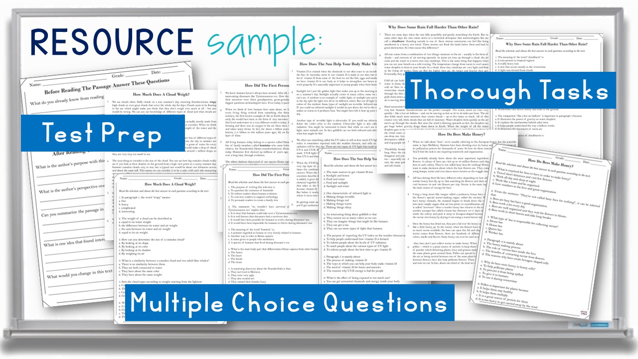 Fun Reading Comprehension Passages and MCQ Middle School Test Prep ...