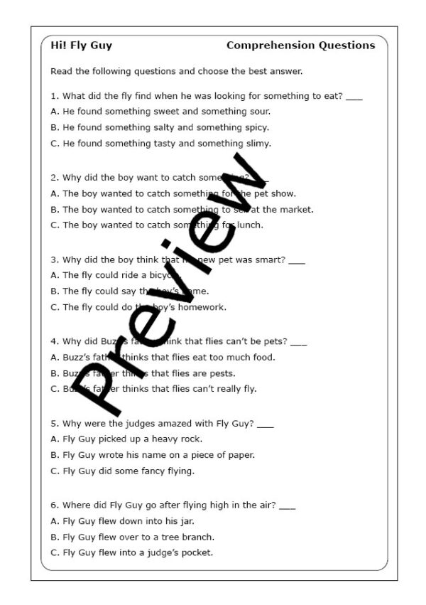 "Hi! Fly Guy" (Book #1) worksheets | Made By Teachers