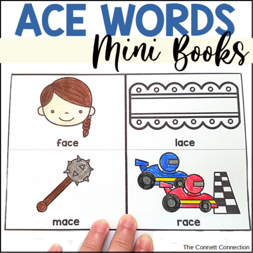 ACE Words Foldable Books | Made By Teachers
