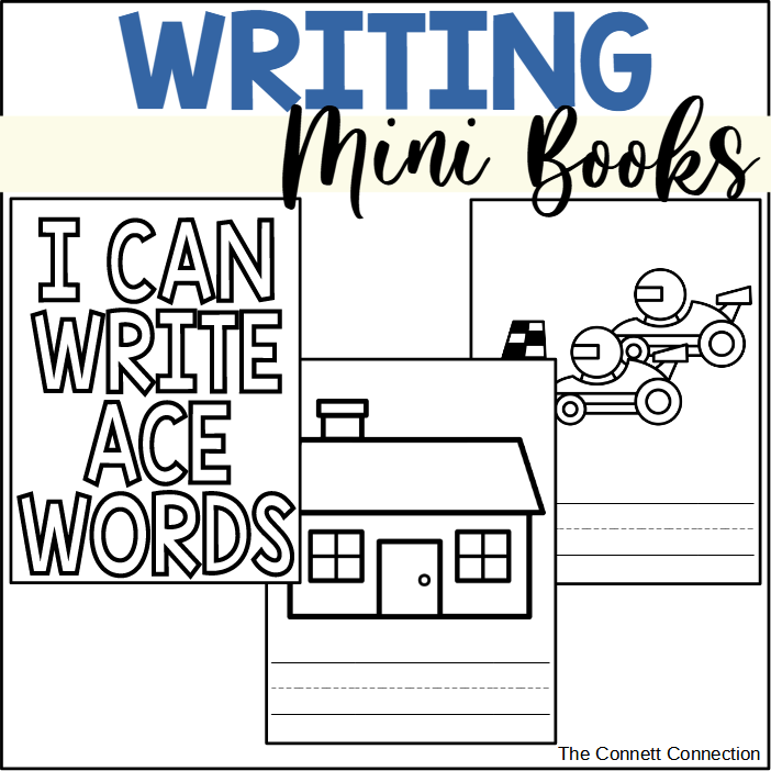 ACE Words Foldable Books | Made By Teachers