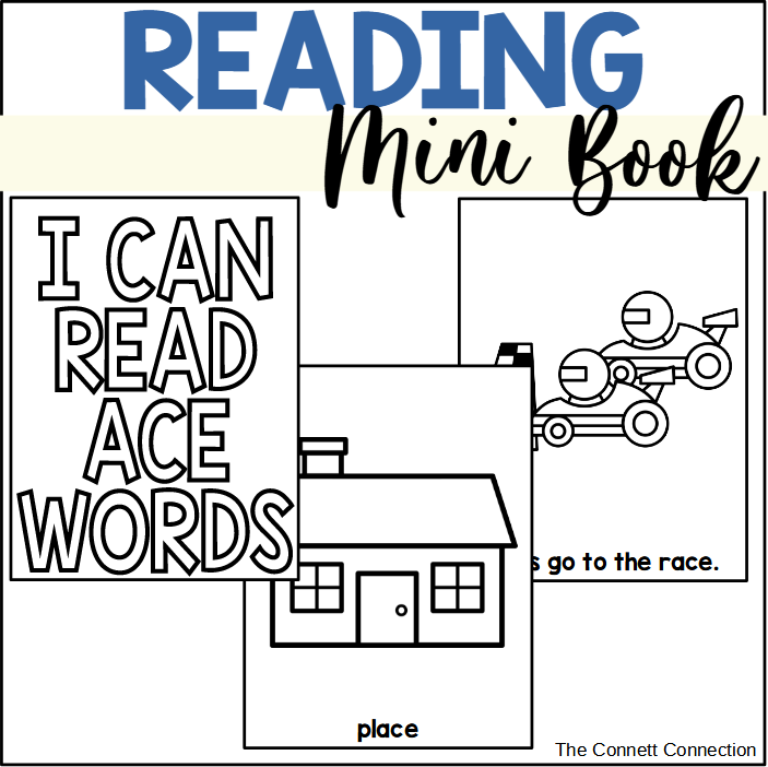 ACE Words Foldable Books | Made By Teachers