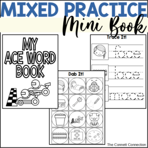 ACE Words Foldable Books | Made By Teachers