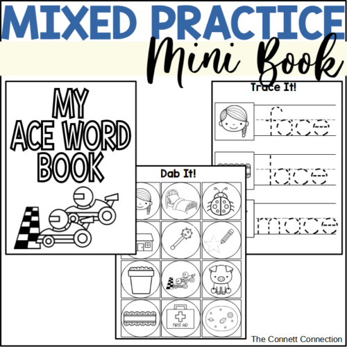 ACE Words Foldable Books | Made By Teachers