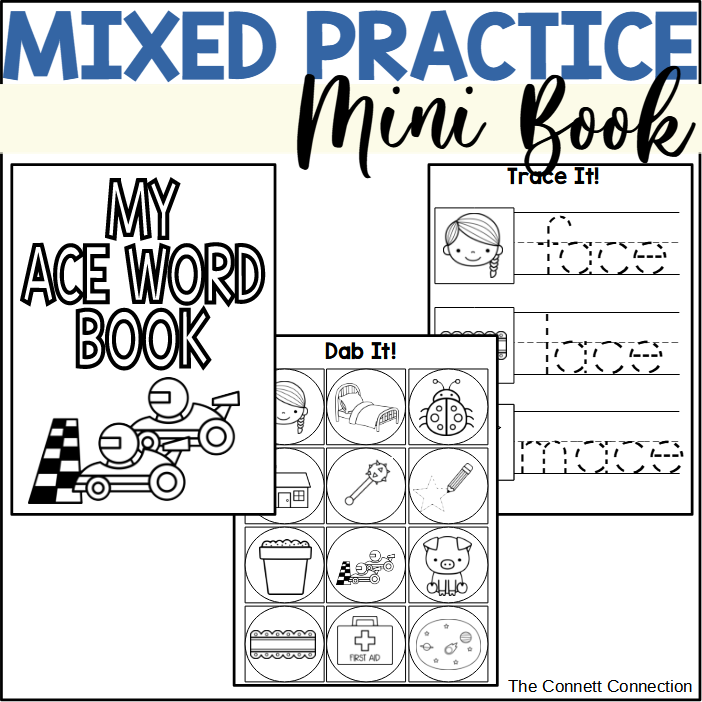 ACE Words Foldable Books | Made By Teachers