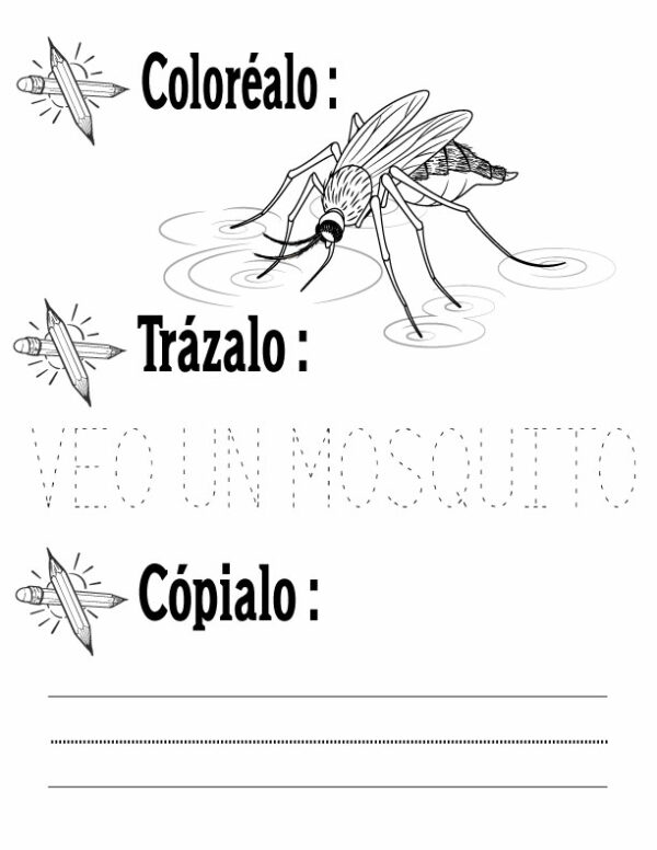 Hojas de trabajo sobre Mosquitos para niños-Librito de insectos para ...