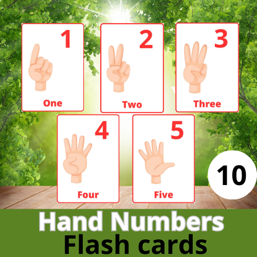 Hand Numbers Flash Cards | Math | Counting | Made By Teachers