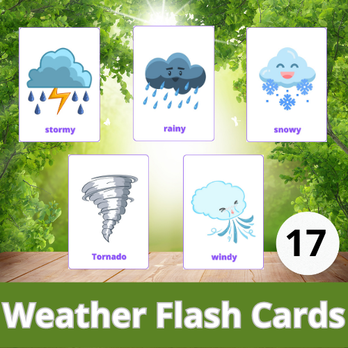 Weather Flash Cards, Vocabulary Cards | Made By Teachers