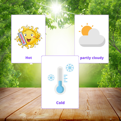 Weather Flash Cards, Vocabulary Cards | Made By Teachers