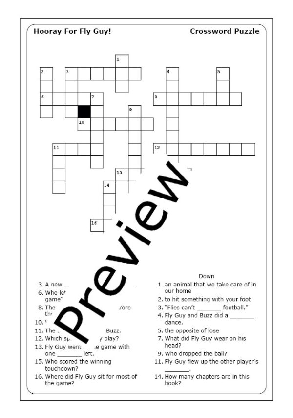 "Hooray For Fly Guy!" (Book #6) worksheets | Made By Teachers