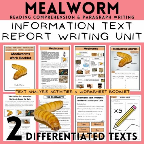 8 Animal Information Texts, Report Writing & Reading Analysis Workbook ...