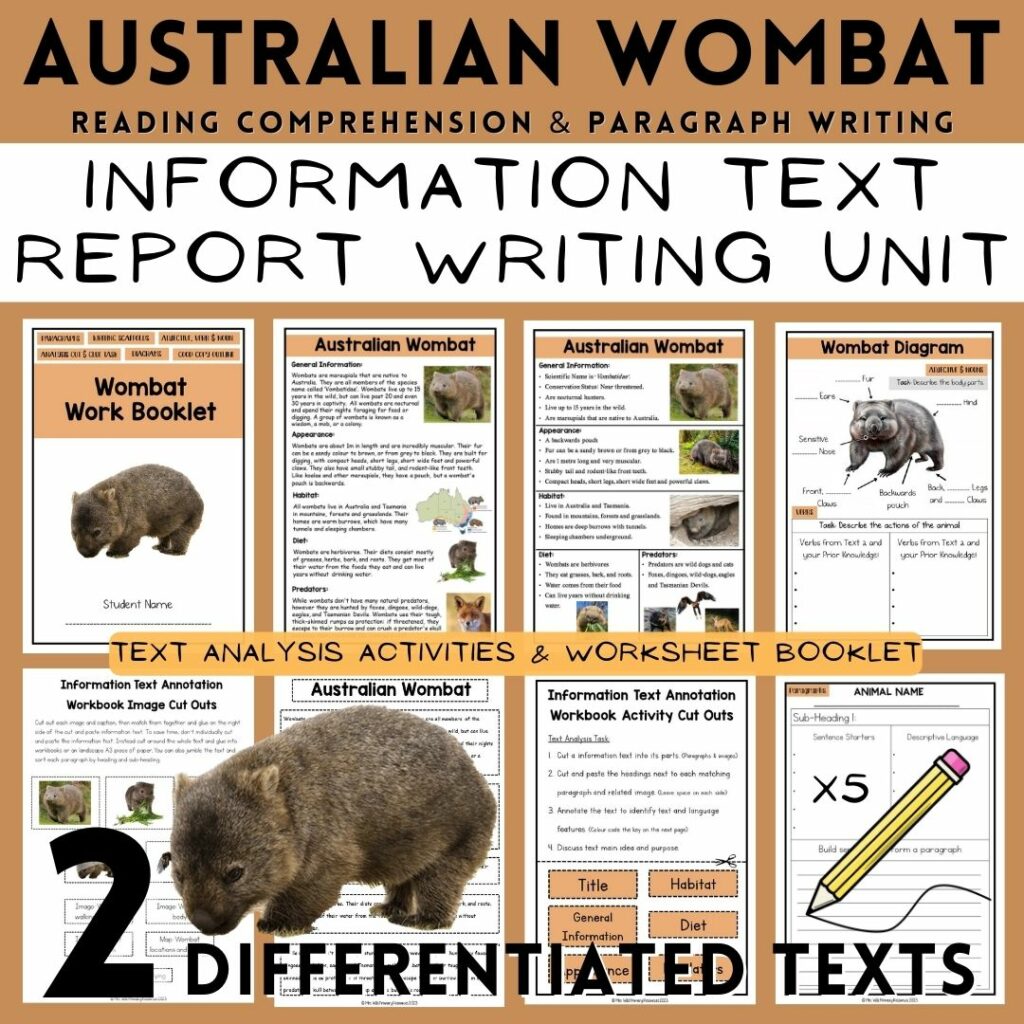 12 Animal Information Texts, Report Writing & Reading Analysis Workbook Bundle | Made By Teachers