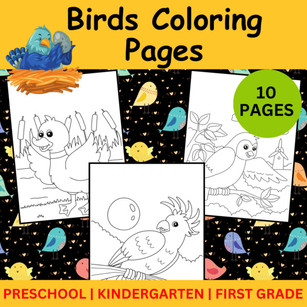 Birds Coloring Pages Activity | Summer Time Coloring Sheets | Morning ...