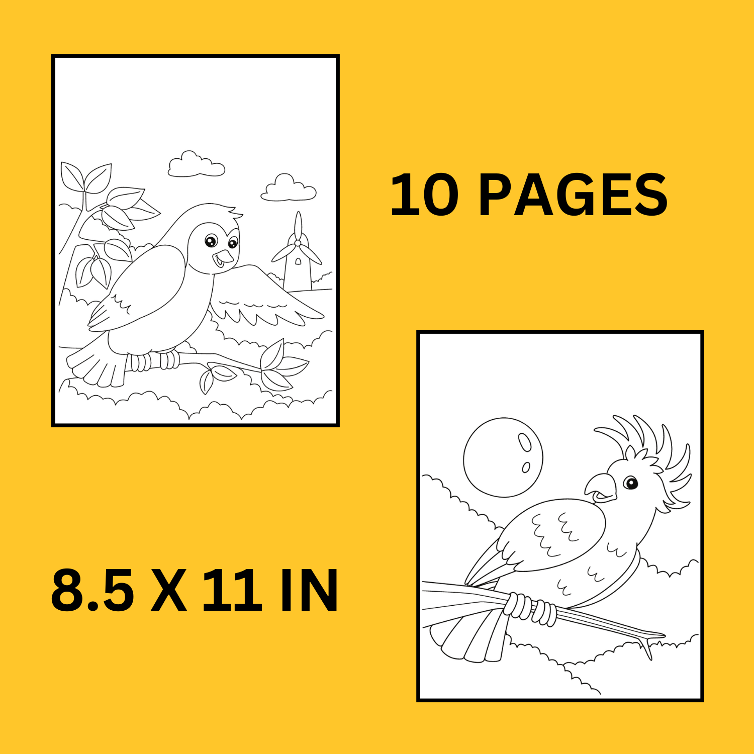 Birds Coloring Pages Activity | Summer Time Coloring Sheets | Morning ...