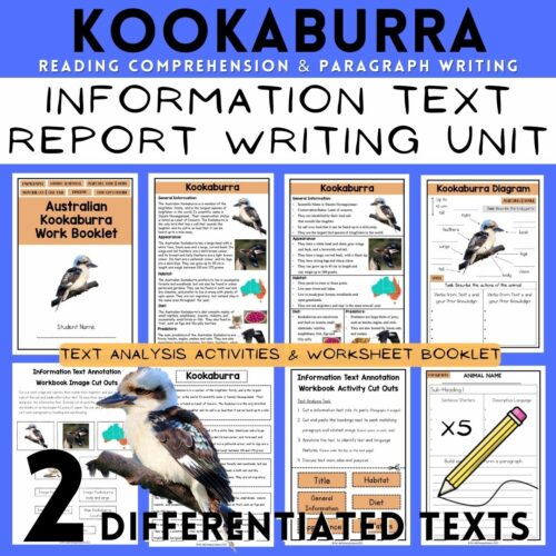 4 Australian Animal Information Texts, Report Writing & Reading Analysis Tasks Bundle | Made By ...