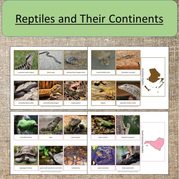 Reptile and Their Continents Science Geography Study Montessori ...
