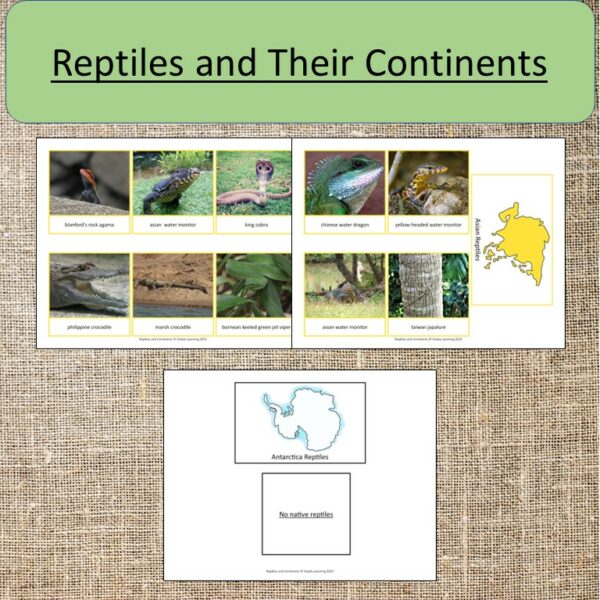 Reptile and Their Continents Science Geography Study Montessori ...