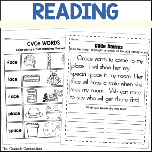 ACE Words Worksheets | Made By Teachers