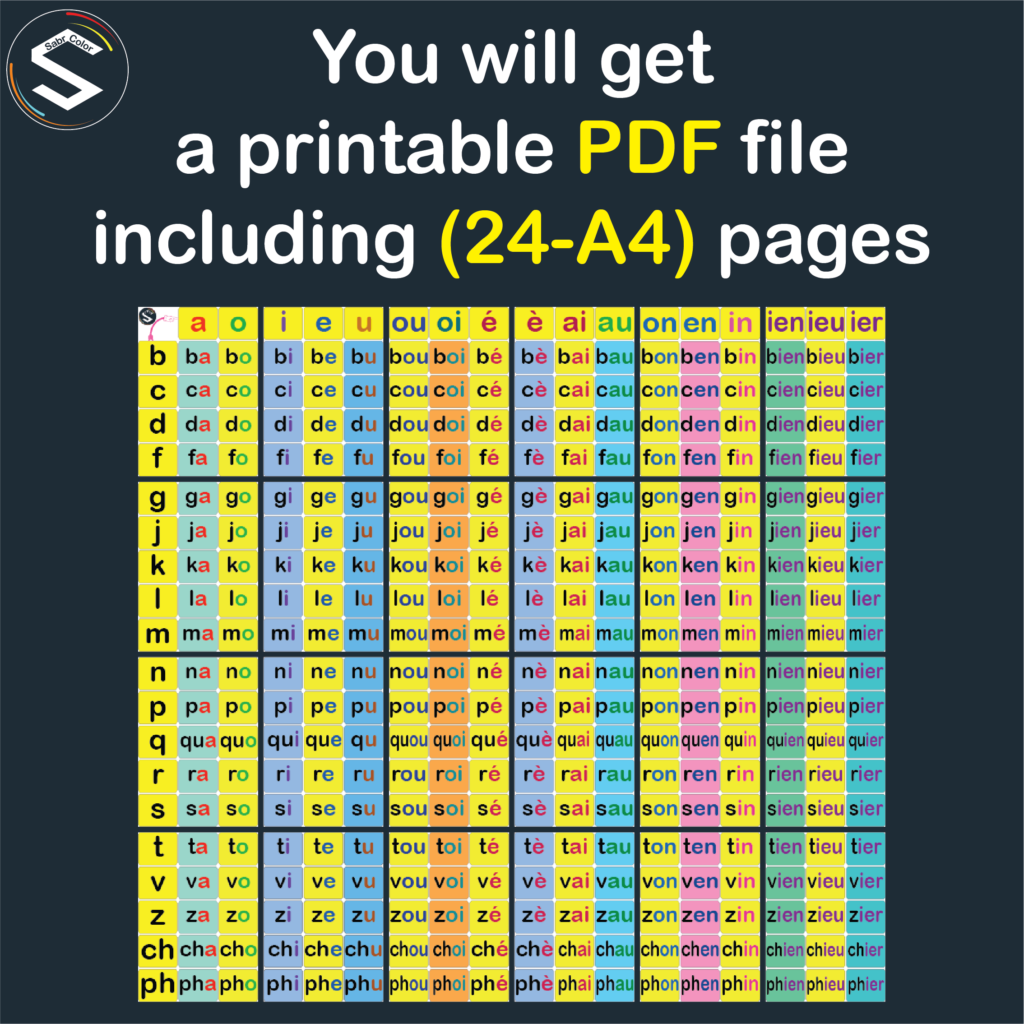 FRENCH Syllabic Reading Puzzled Poster: Tableau de lecture | SCRIPT-24 ...
