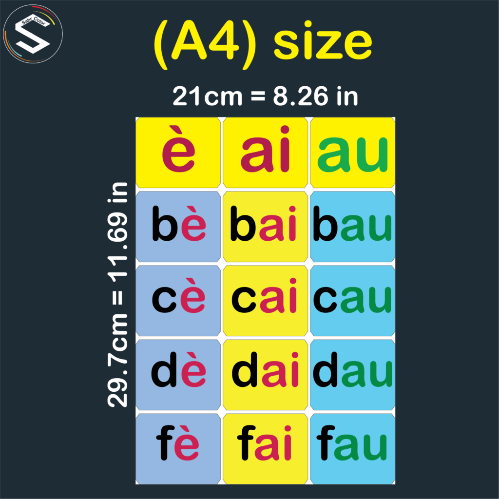 FRENCH Syllabic Reading Puzzled Poster: Tableau de lecture | SCRIPT-24 ...