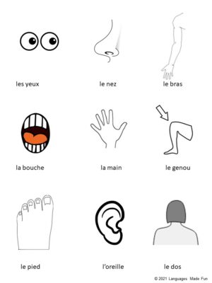 Le Corps Humain - French Unit on Body Parts | Made By Teachers