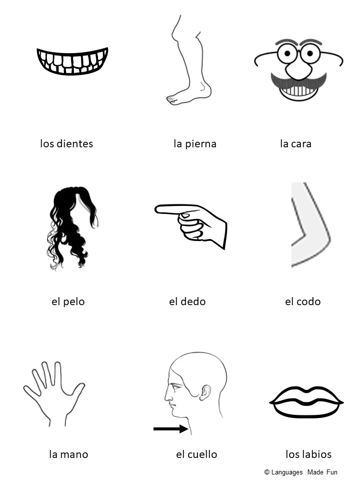 El Cuerpo Humano - Spanish Body Parts | Made By Teachers