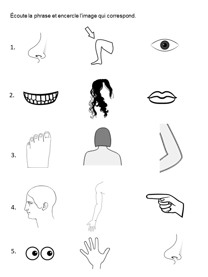 Le Corps Humain - French Body Parts Listening Comprehension | Made By ...