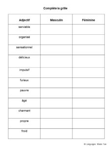French Adjectives (Les Adjectifs) - Forming the Feminine | Made By Teachers