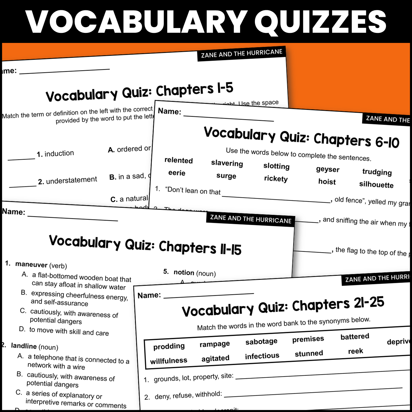 Zane and the Hurricane Novel Study Vocabulary Activities and Quizzes ...