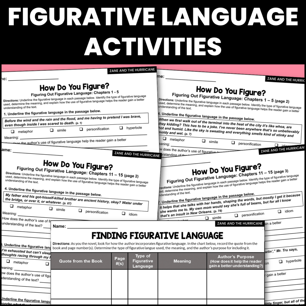 Zane and the Hurricane Novel Study Figurative Language Activities ...