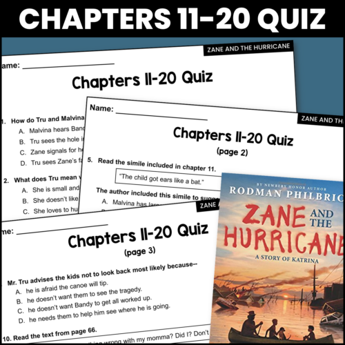 Zane and the Hurricane Quiz for Chapters 11-20 | Made By Teachers