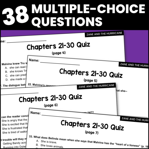 Zane and the Hurricane Quiz for Chapters 21-30 | Made By Teachers