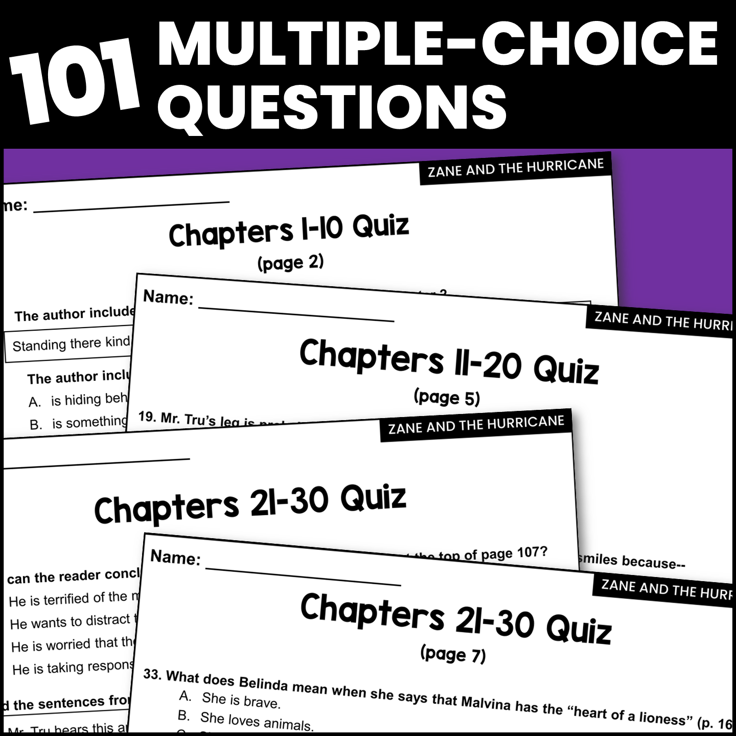 Zane and the Hurricane Novel Study Chapter Quizzes BUNDLE | Made By ...