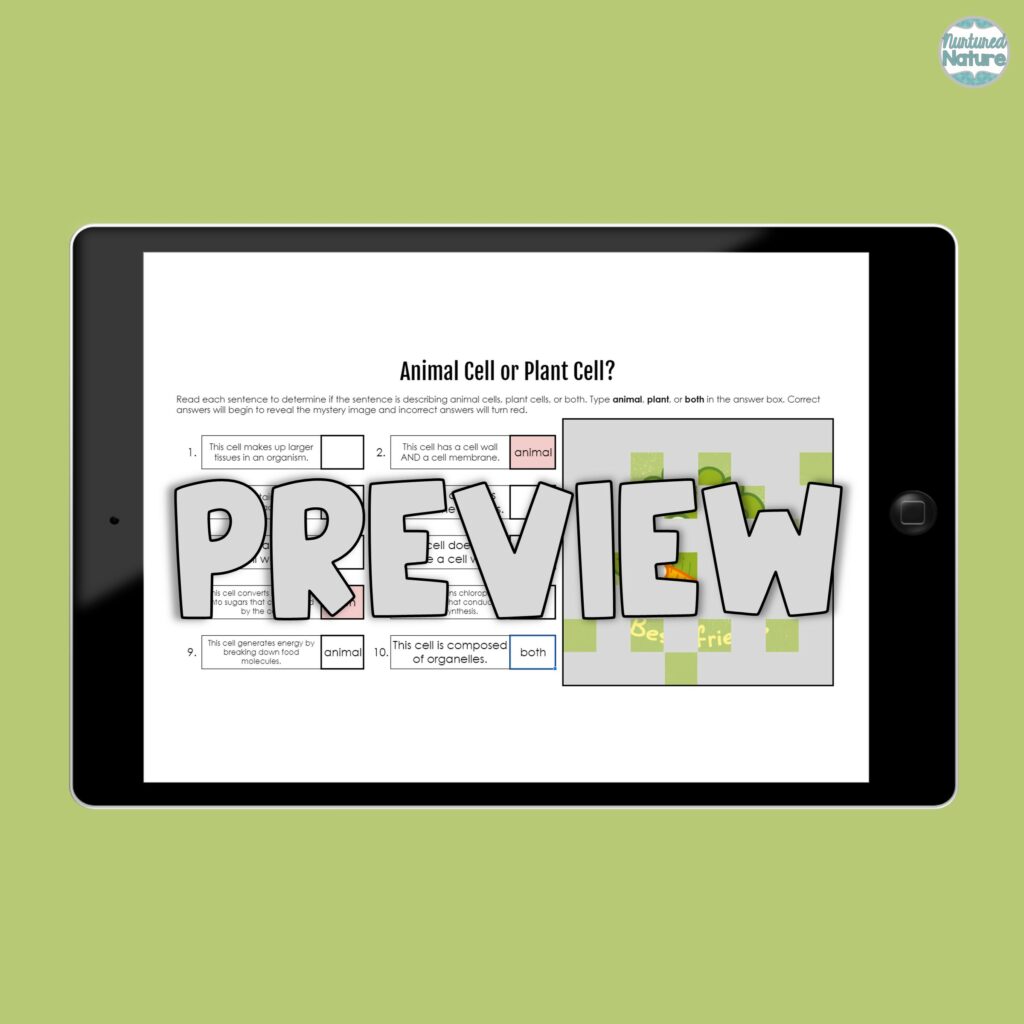 Animal or Plant Cell Pixel Art Puzzle 1 Google Activity | Made By Teachers